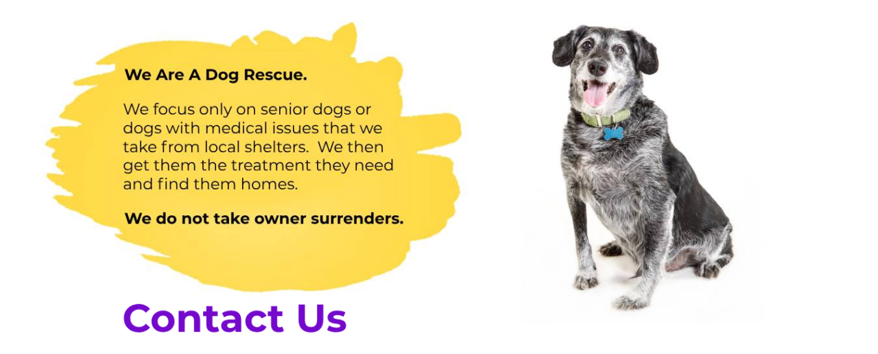 Contact Us|HOME FREE ANIMAL RESCUE & SANCTUARY