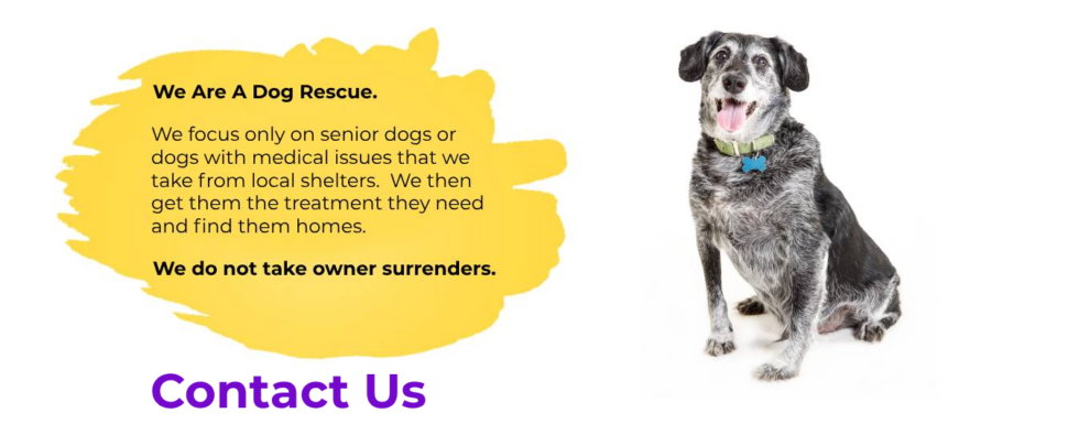 Contact Us|HOME FREE ANIMAL RESCUE & SANCTUARY